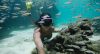 GoPro Hero 11 Diving Tips for Incredible Underwater Videos